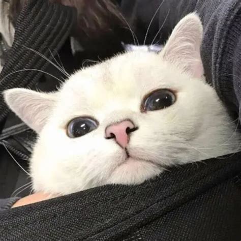 全网都在骂王健林的赌性，但真相其实是银行先关了门，2024年万达商管营收16亿现金流，够还400亿到期债？ 企业 问题 资金