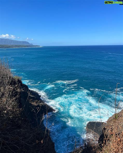 Coco Christo Wiki Biography Age Photos Spouse And More