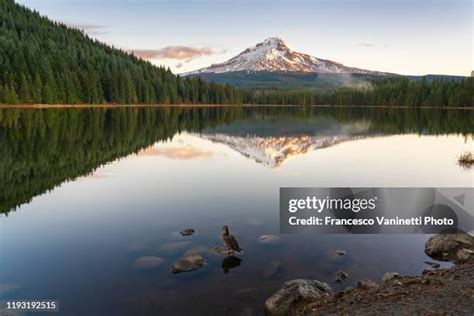 Trillium Lake Oregon Photos And Premium High Res Pictures Getty Images