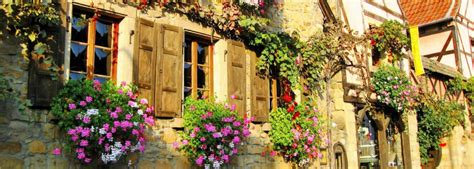 Kellers Keller Aktuelles