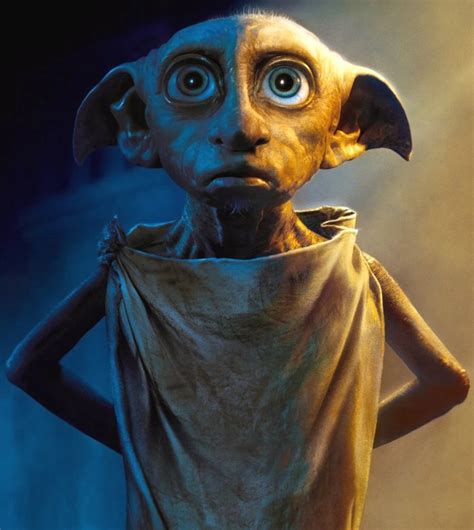 Mendadak Viral Di Tiktok Ini 5 Fakta Menarik Tentang Dobby Syndrome