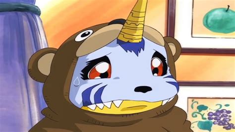 Digimon Adventure Pumpkinmon And Gotsumon Are Causing Problems Youtube