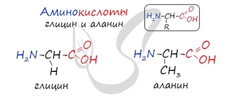 Белки и аминокислоты, подготовка к ЕГЭ по химии