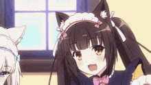 Nekopara Anime  Nekopara Anime Smile Discover And Share S