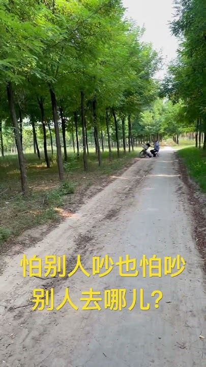 小树林里的娱乐活动 Youtube