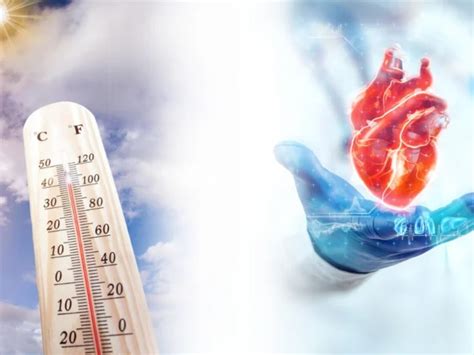 Know The Symptoms Of Diastolic Dysfunction Dr Raghu