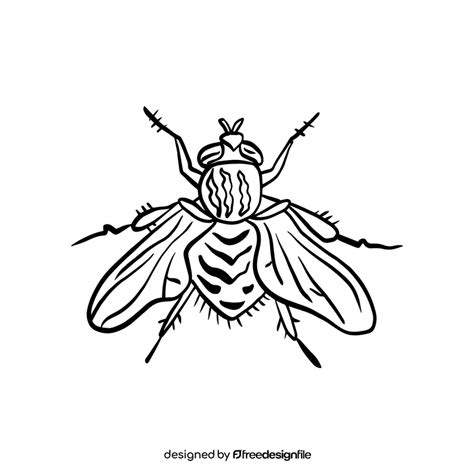 Fly Insect Illustration Black And White Clipart Free Download