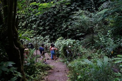Top 4 Activities To Do At Leke Leke Waterfall Bali