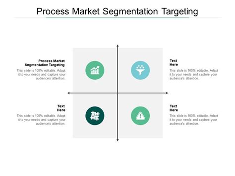 Process Market Segmentation Targeting Ppt Powerpoint Presentation