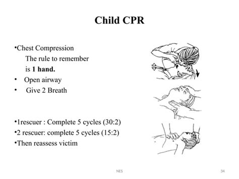 Basic Life Support Cprpptgghhhhhgggggggg Ppt