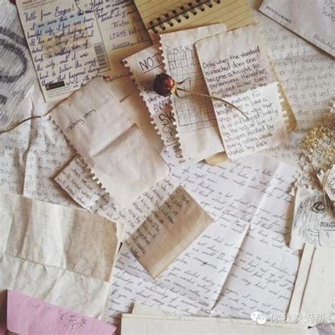 才女張兆和與楊絳的兩種愛情 每日頭條