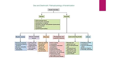 Pathophysiology Of Keratinization Pptx Download Pptx