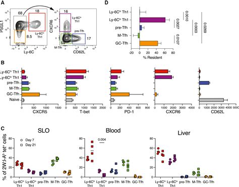 A Minority Of Th1 And Tfh Effector Cells Express Survival Genes Shared