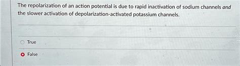 Solved The Repolarization Of An Action Potential Is Due To Rapid
