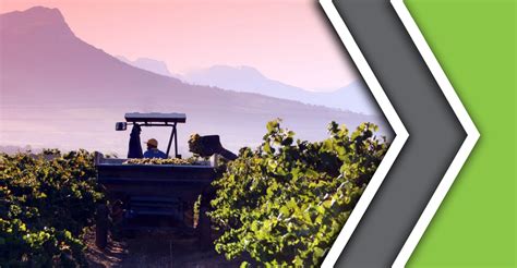 Hsrc Survey Reveals High Levels Of Innovation In Sa Agribusinesses Despite Challenges Hsrc
