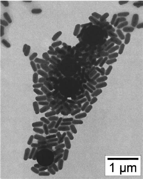 Transmission Electron Microscope Graph Of A Mixture Of Silica Spheres