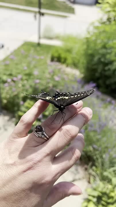 Video Suzanne Gates On Linkedin Sustainability Conservation Biodiversity