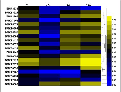 Figure 6 From Phenotypic And Comparative Transcriptome Analysis Of Different Ploidy Plants In
