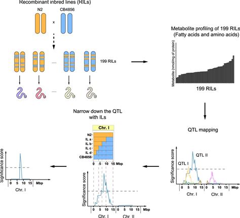 Natural Genetic Variation In C Elegans Identified Genomic Loci Controlling Metabolite Levels