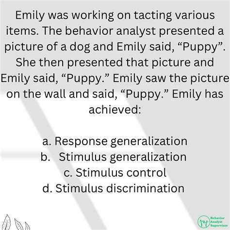 Behavior Analyst Supervisor