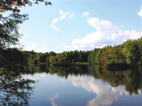 Vacation Rental Amenities In Shawnee Forest Timber Ridge Outpost And Cabins