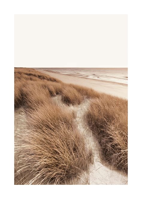 Beach Dunes Poster With Autumn Grass Poster Store Au