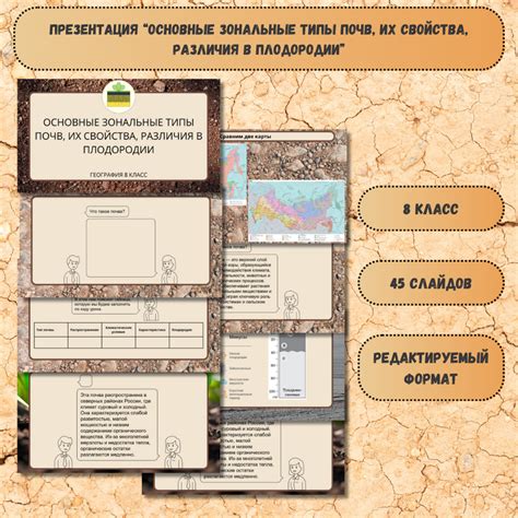Презентация Основные зональные типы почв их свойства различия в