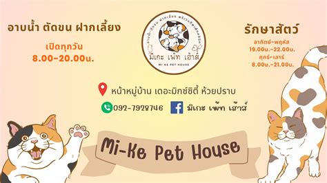 Candy Cats Candy Cats Added A New Photo