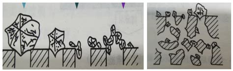 Introduction Of Membrane Solutions Microporous Membrane Membrane