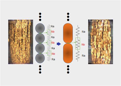 Elastomer Test Socket Ic Test Socket Manufacturer Snow Co Ltd