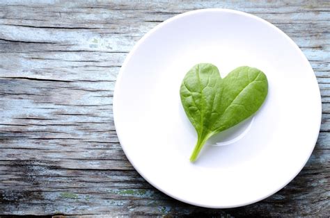 Spinach Leaves Provide Vascular Structures For Lab Grown Human Cardiac