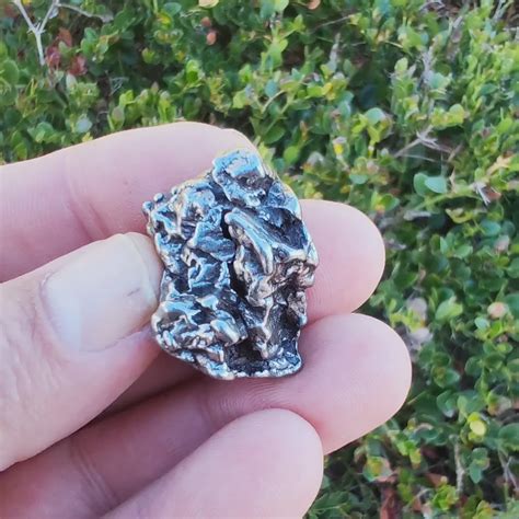Campo Del Cielo Meteorite Fragment Authentic Iron Space Rock