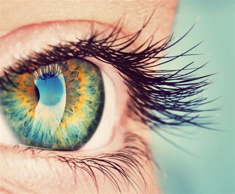 Redonnez La Vue En Donnant Votre Cornée Eich