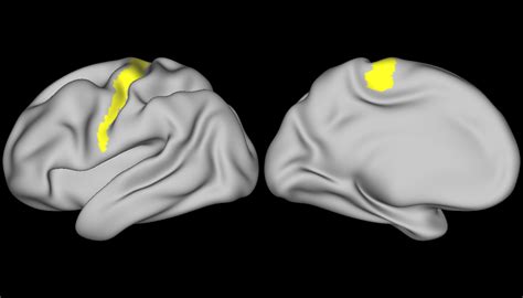 Mahalanobis Distance Opencv Markslasopa