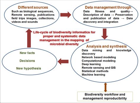 Schematic Diagram Shows A Brief Overview Of Biodiversity Informatics Download Scientific