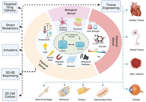 Schematic Illustration Of Different Smartstimuli Responsive Hydrogels