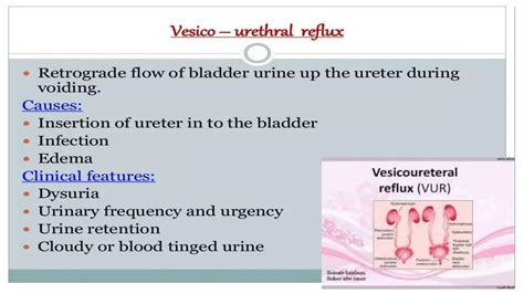 Congenital Abnormalitiespptx