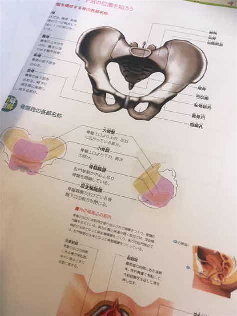 恥骨メソッドワークショップin東京 Femininity Labo~女性らしさを研究するセラピスト～