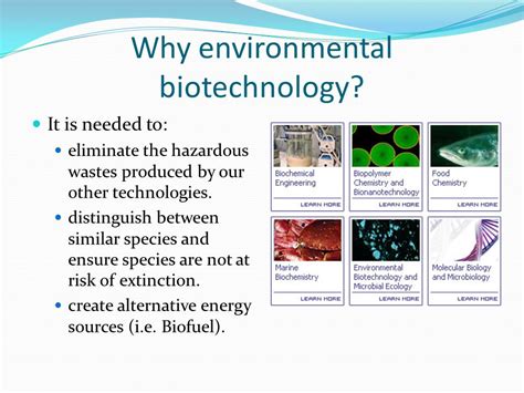 Environmental Biotechnology Ppt Top 10 Biotechnology Ppt Templates