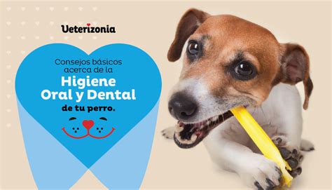 Perro Y Gato Cepillandose Los Dientes