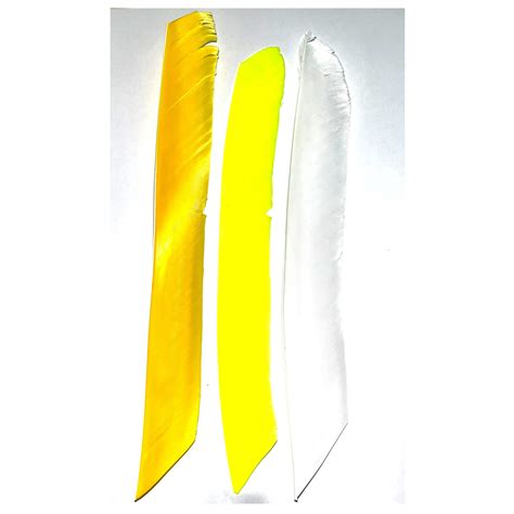 Fletches Feathers Full Length Redpink Archers Edge