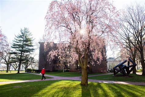 Bu Releases A Back To Work Guidebook To Reopening Campus Bu Today