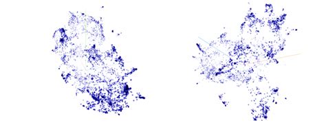 GSG Embeddings GKG BigQuery Tensorflow Embedding Projector Visualizing The Covid