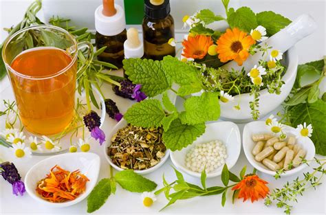 Fitoterapia ¿qué Es Y Cómo Usar Las Plantas Medicinales ¡descúbrela