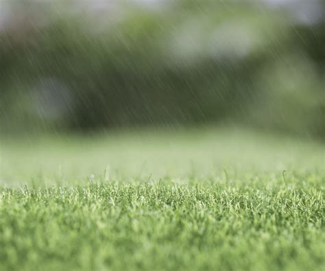 Who To Call For Drainage Problems In Yard Learys Landscaping