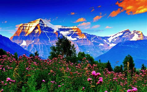 Download Serene Spring Mountain Landscape Wallpaper