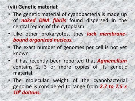 Prokaryotic And Eukaryotic Algal Cell Structure Pptx Biological Sciences Science