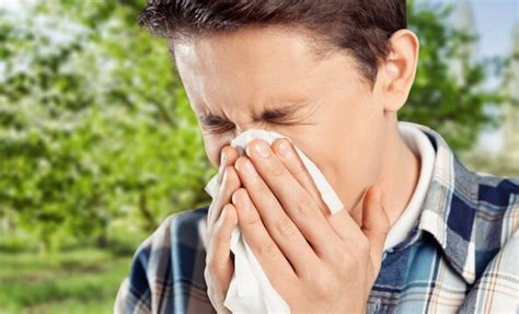 Influenca Imagens Procure 285 Fotos Vetores E Vídeos Adobe Stock