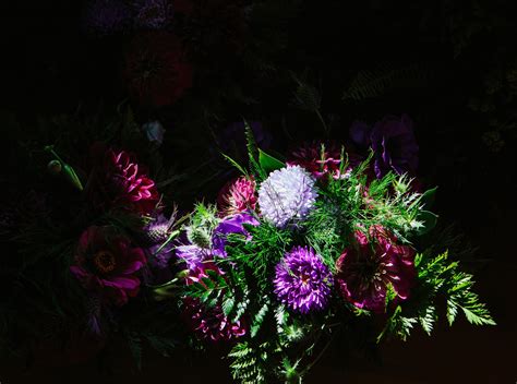 815133 Bouquets Asters Rare Gallery Hd Wallpapers