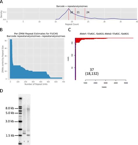 Analysis Of Trinucleotide Repeats By Long Read Smrt Sequencing For Download Scientific Diagram